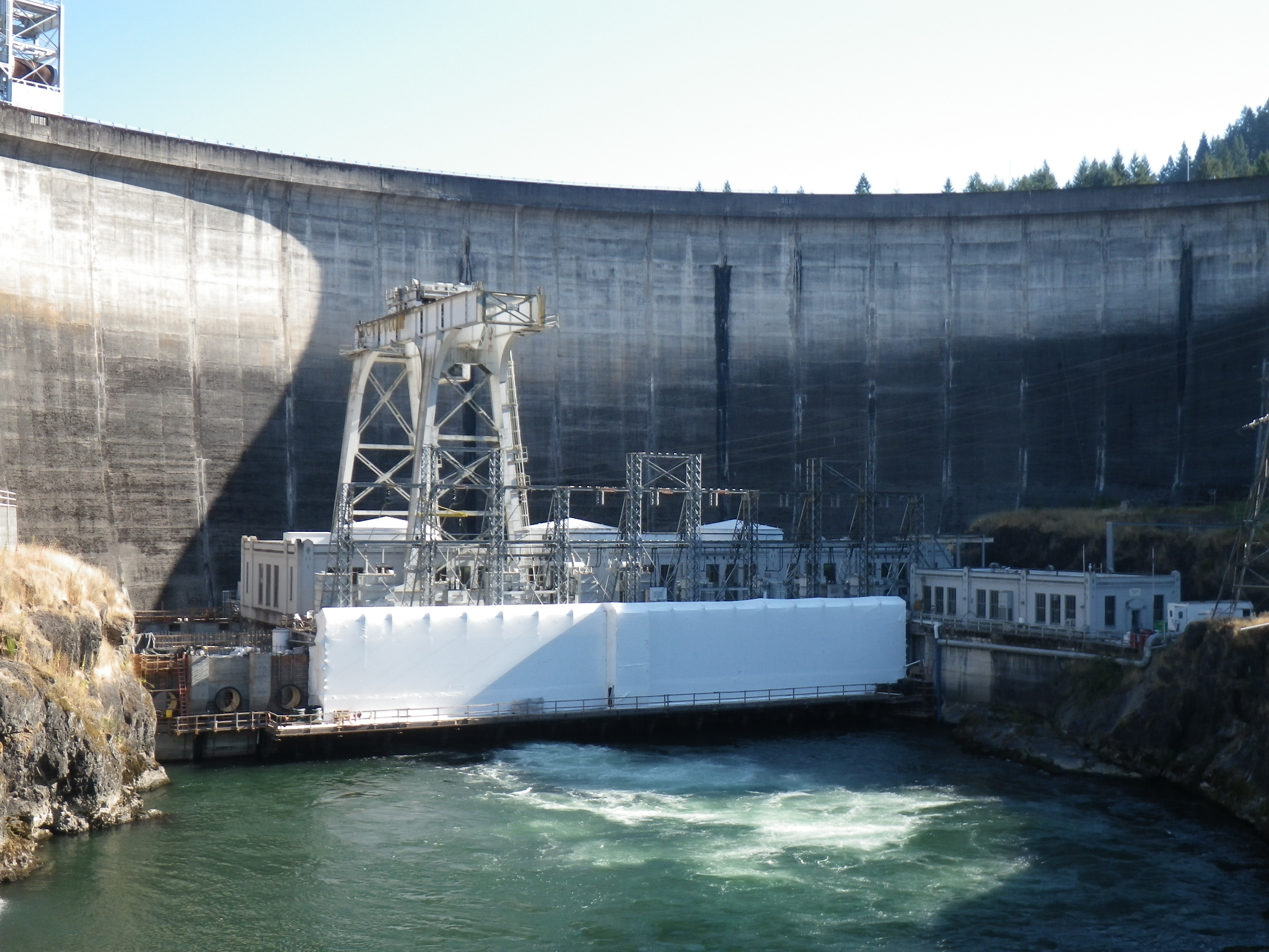 Merwin Dam – Bear Inspection
