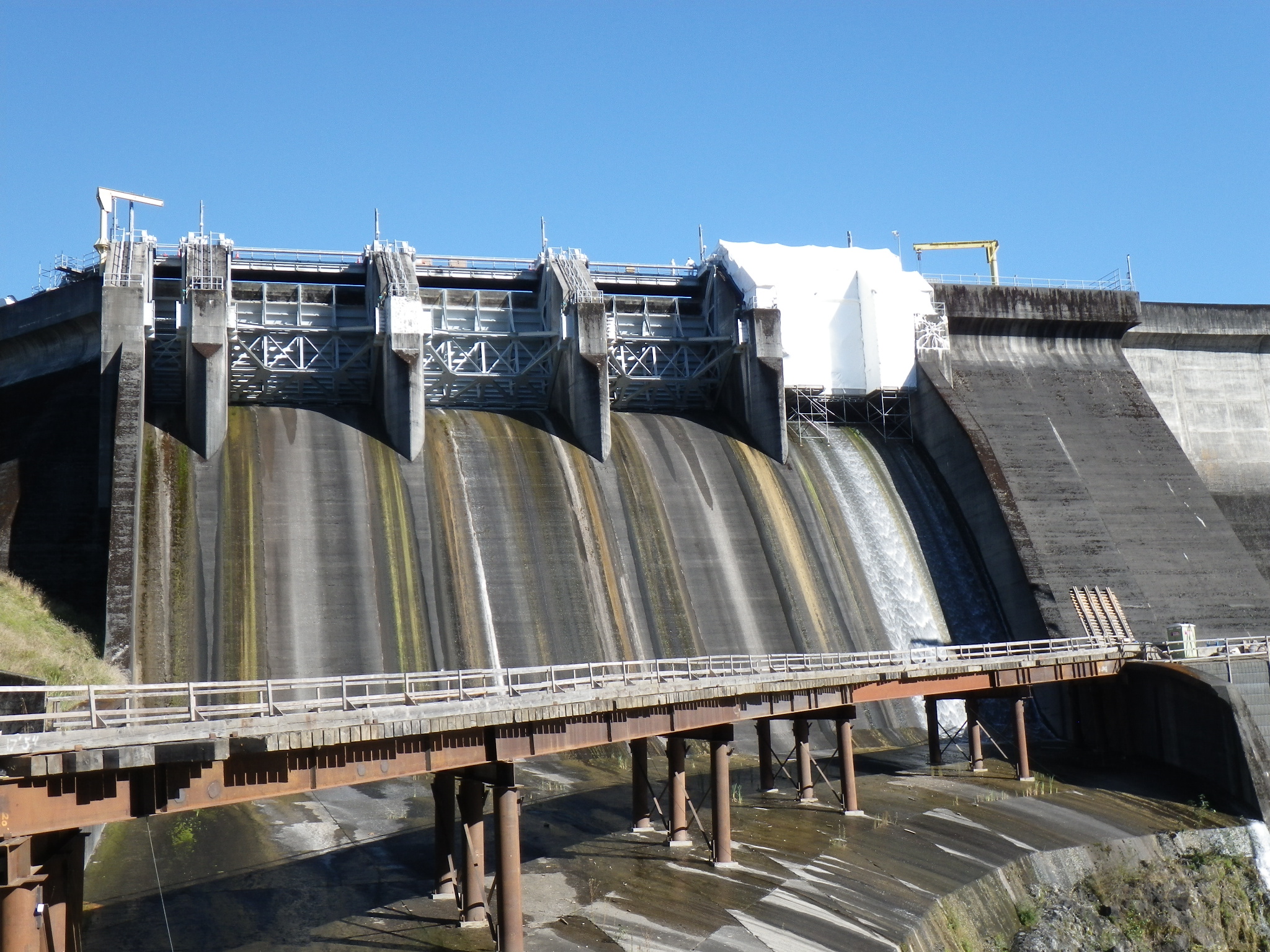 Merwin Dam – Bear Inspection